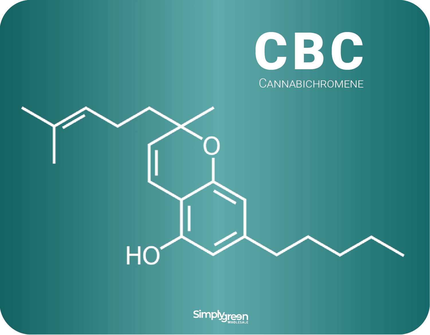 What Are the Different Types of Cannabinoids? 6 Cannabinoids You Should ...