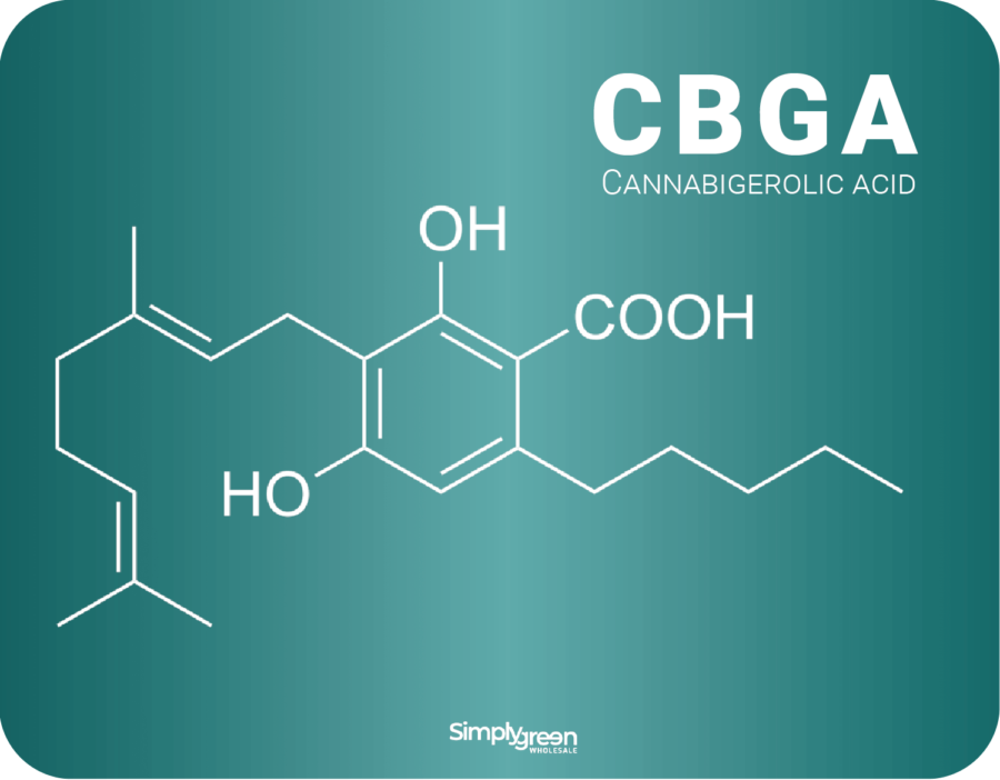 What Are the Different Types of Cannabinoids? 6 Cannabinoids You Should ...