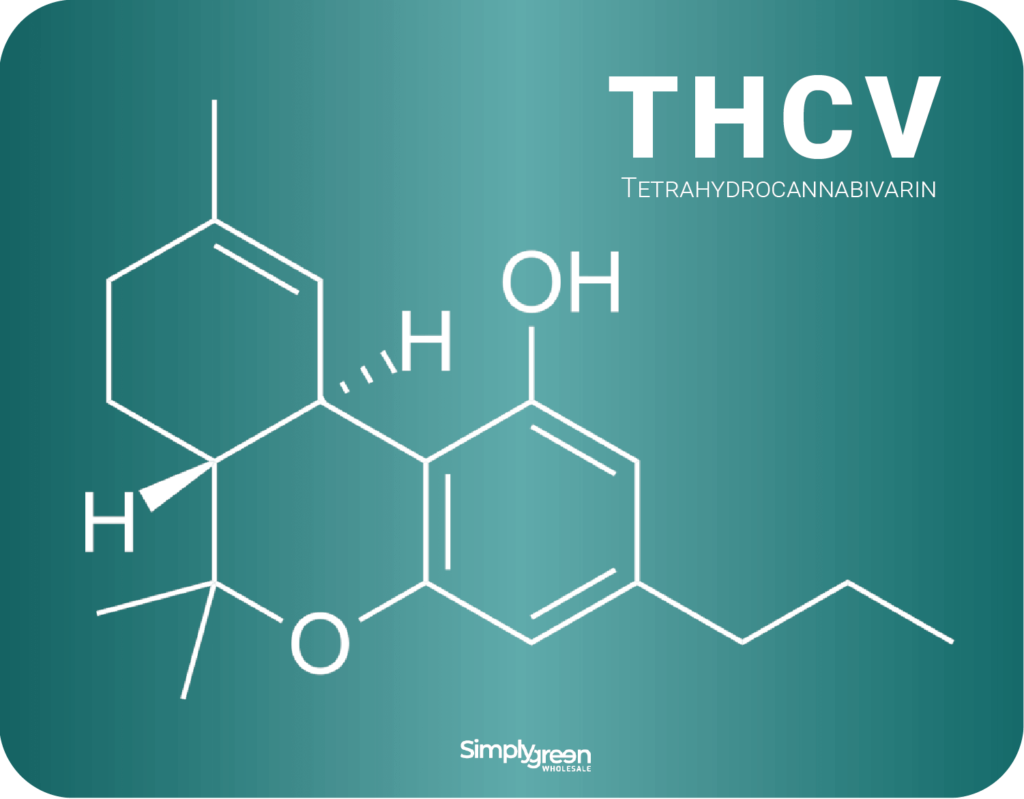 What Are the Different Types of Cannabinoids? 6 Cannabinoids You Should ...